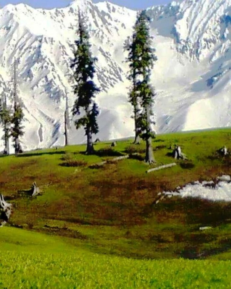 Allai Valley – Vertical Explorers Expeditions Treks & Tours