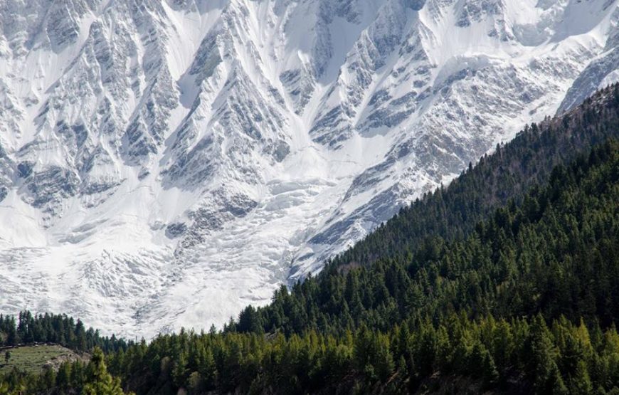 Nanga Parbat K2 Base Camps Trek | Vertical Explorers